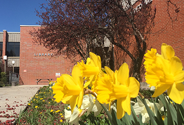 Library - Montana Tech