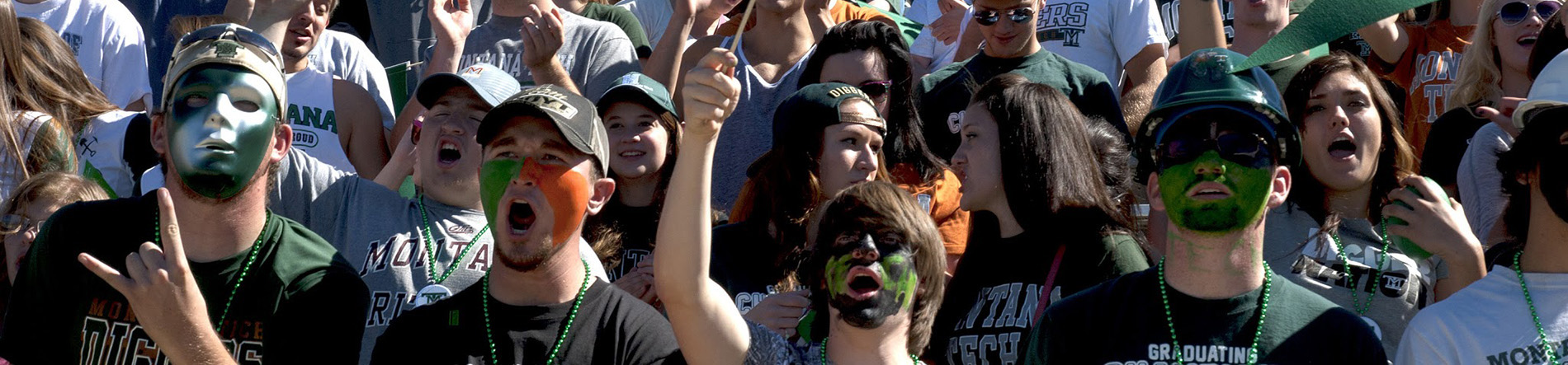 Institute of Electrical and Electronics Engineers (IEEE)